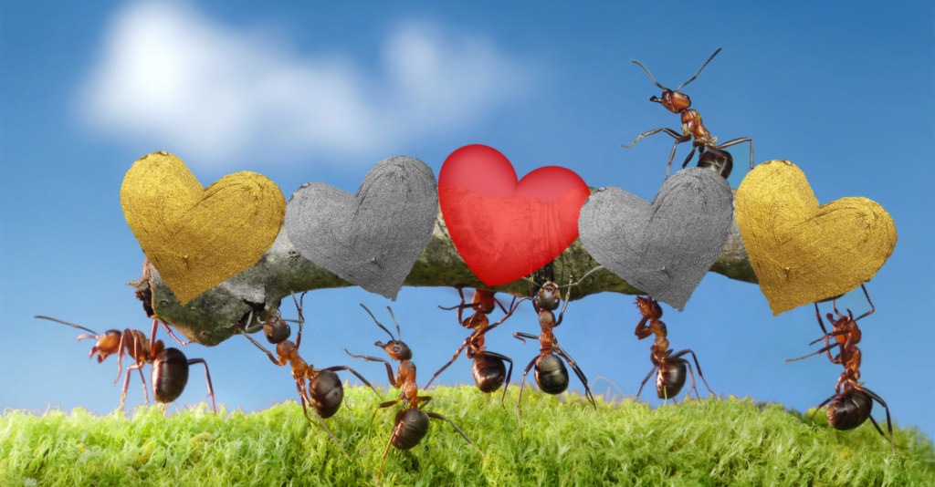 Stop Automatic Negative Thoughts